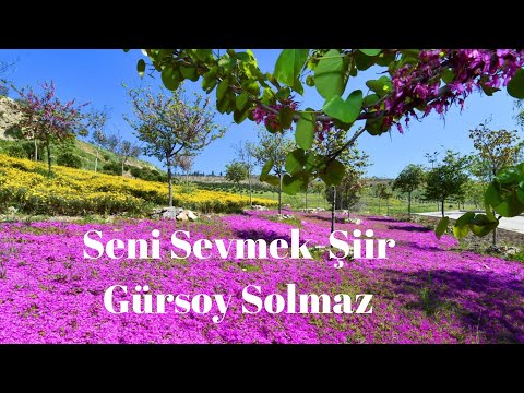 Seni Sevmek Şiiri, Gürsoy Solmaz, Şiir Dinle