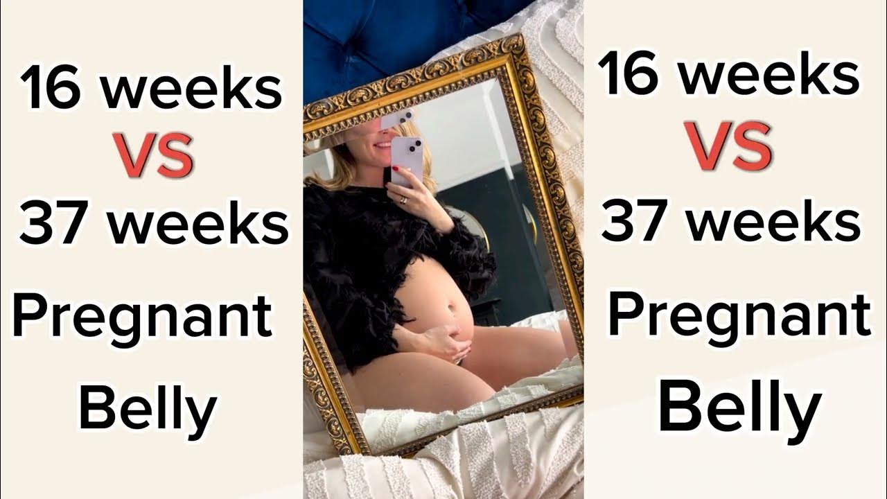 16 Weeks Vs 37 Weeks Pregnant Belly 30 July 2023 Huge Pregnant Belly 16-weeks-vs-37-weeks-pregnant-belly-30-july-2023-huge-pregnant-belly