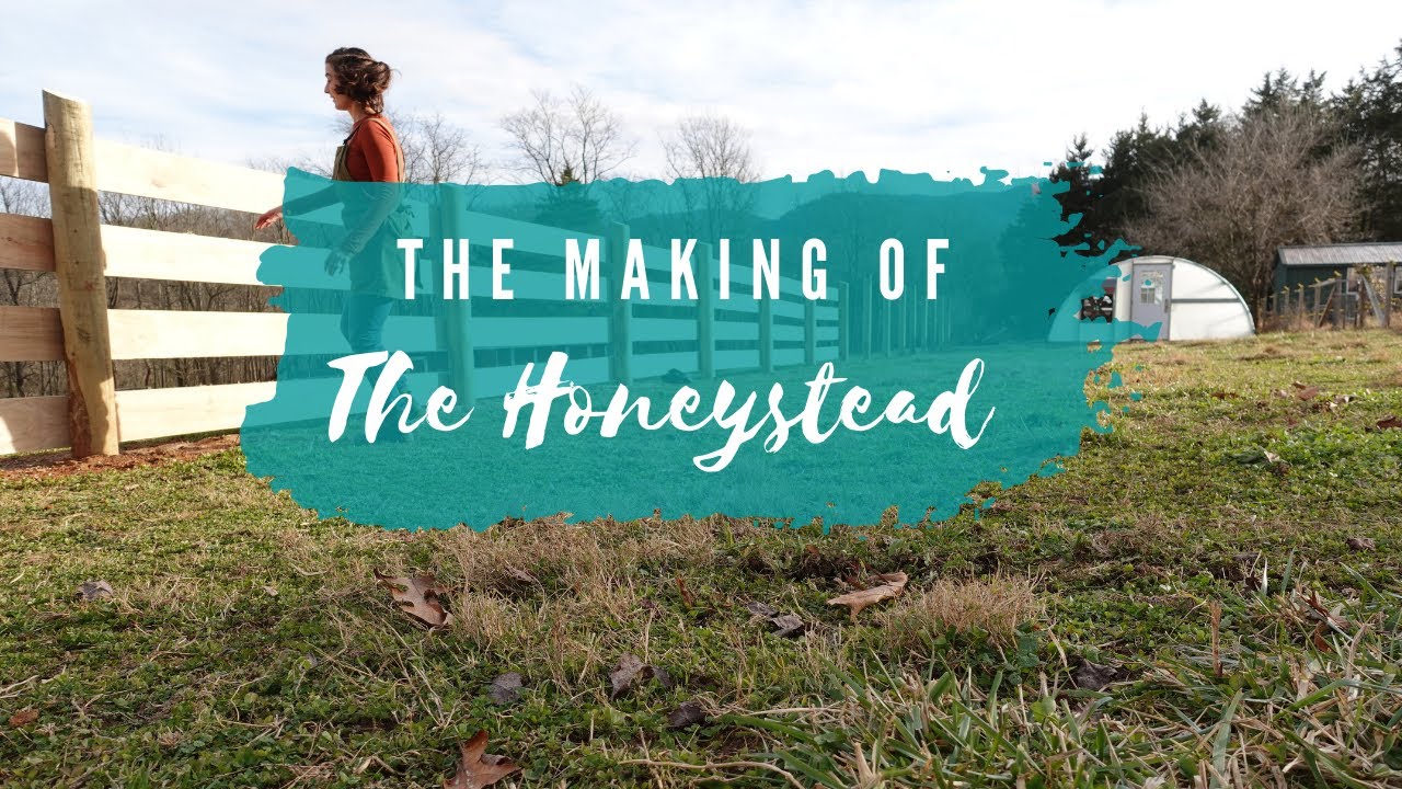 Who Made The Honeystead? [A Piece of my Heart] - YouTube