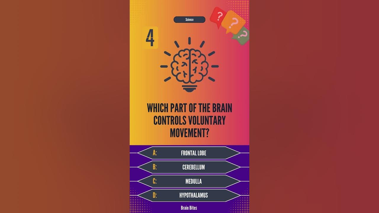 Which part of the brain controls voluntary movement? #quiz #shorts ...