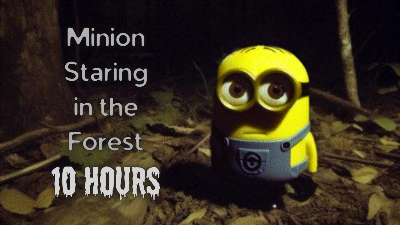 Minion Staring in the Forest 10 Hours - YouTube