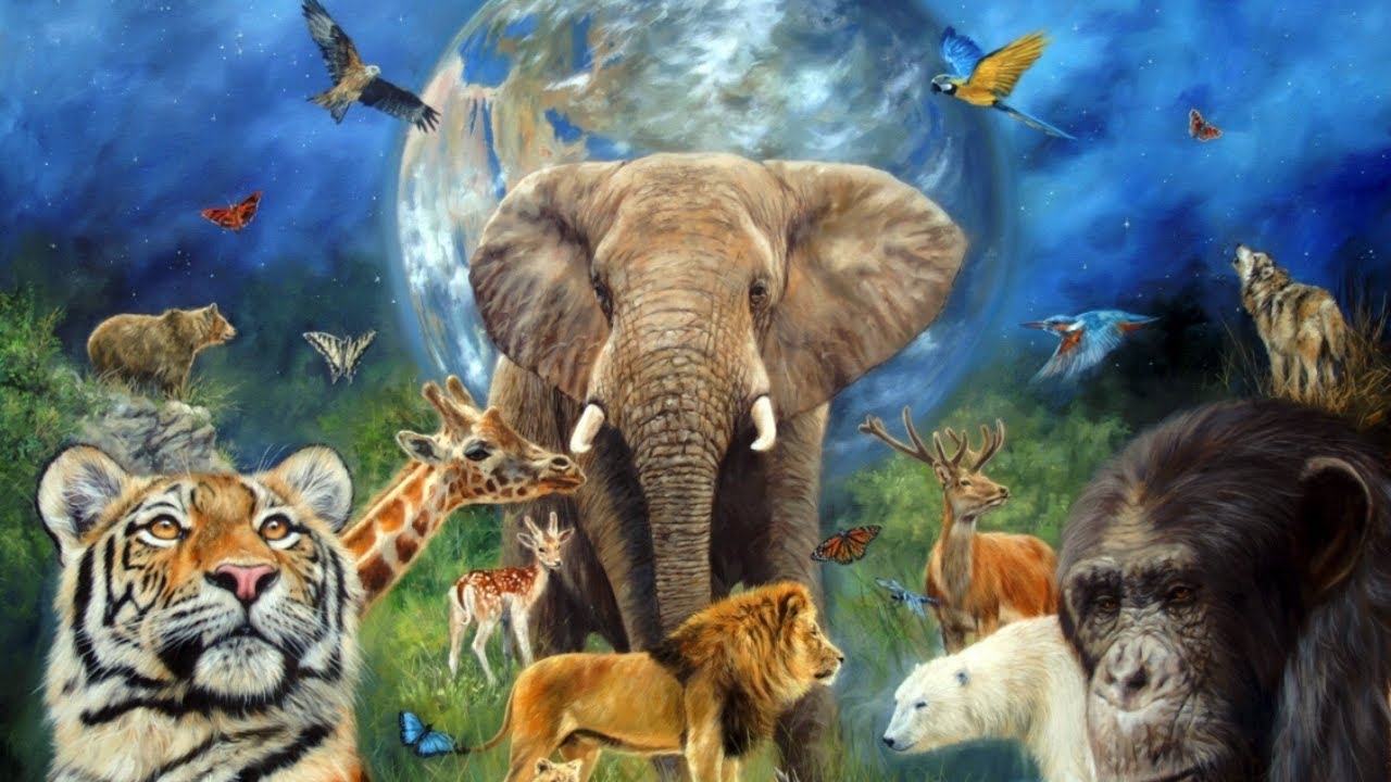 Why do some animals have 2 legs, while others have 4? - YouTube