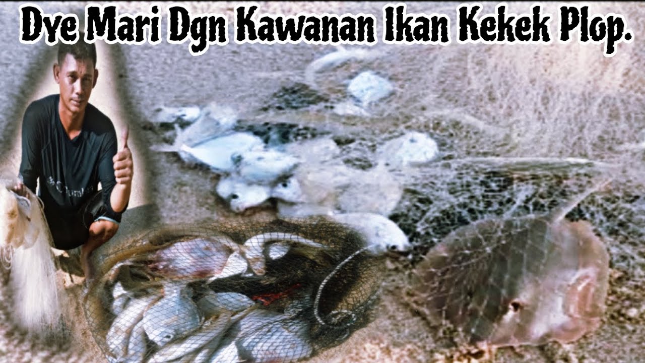 Castnet/Fishing, Dye Mari Dgn Kawanan Kekek plop Sobat. - YouTube