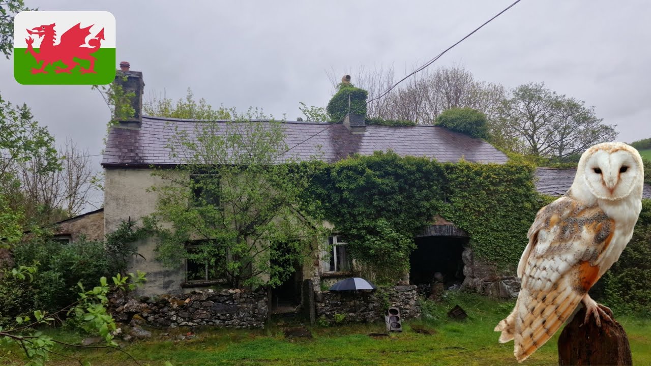 Abandoned Barn Owl Farmhouse , Stunning Time Capsule , No Occupants for ...