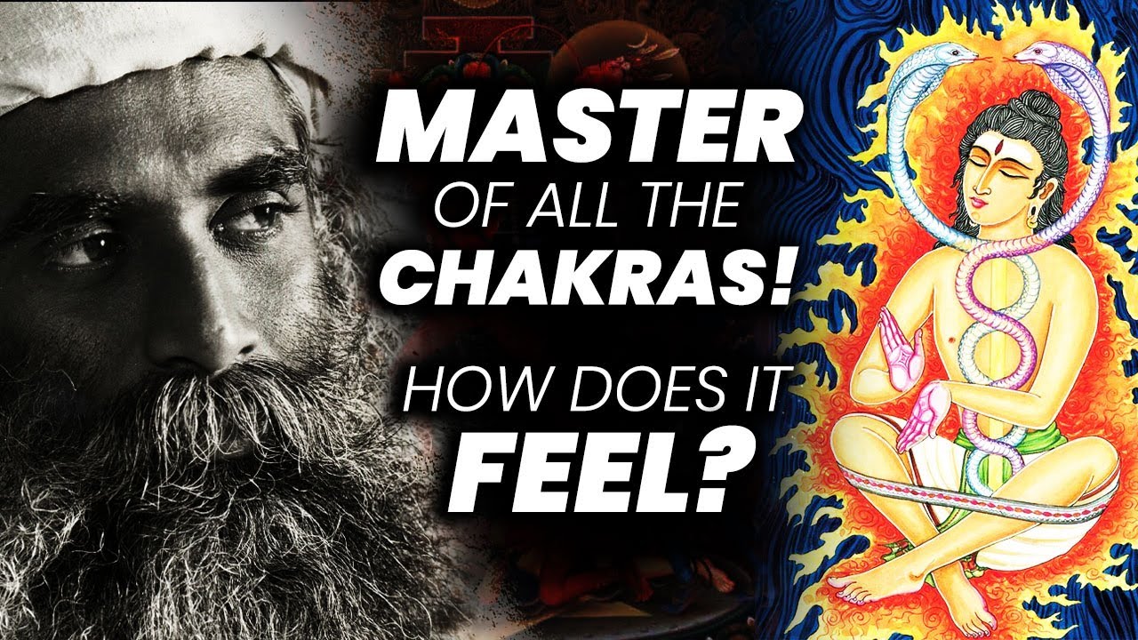 You'd Be Like Alexander Half Way! | 112 | Chakras | Master | Occult ...