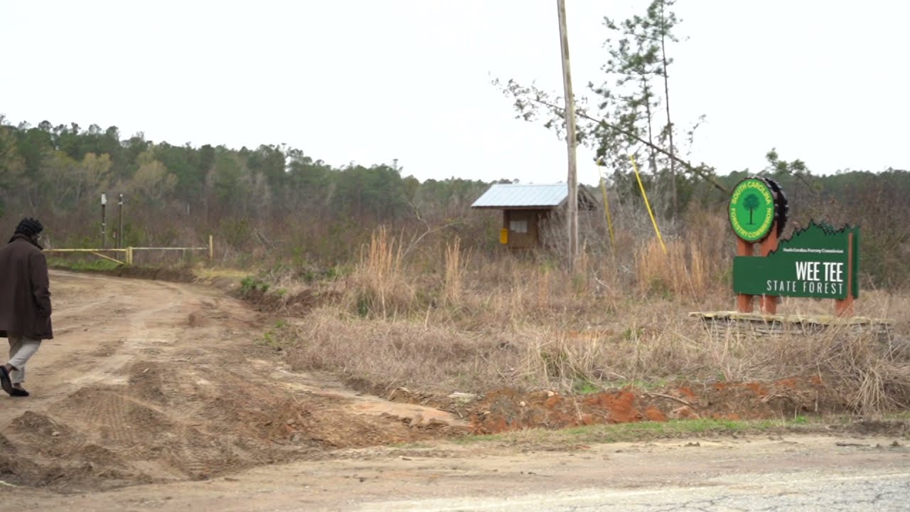 Wee Tee State Forest- Episode 1 - YouTube