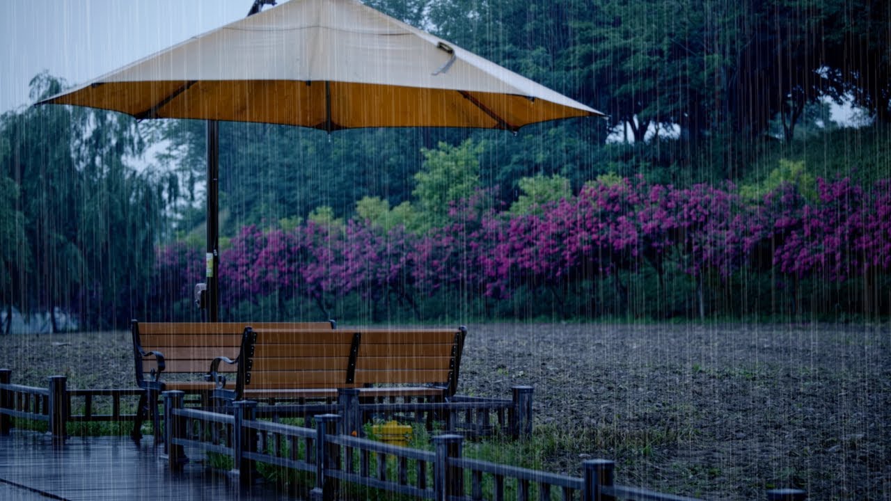 [ASMR] Sleep with the Quiet Rain Sounds at the Riverside Parasol ...