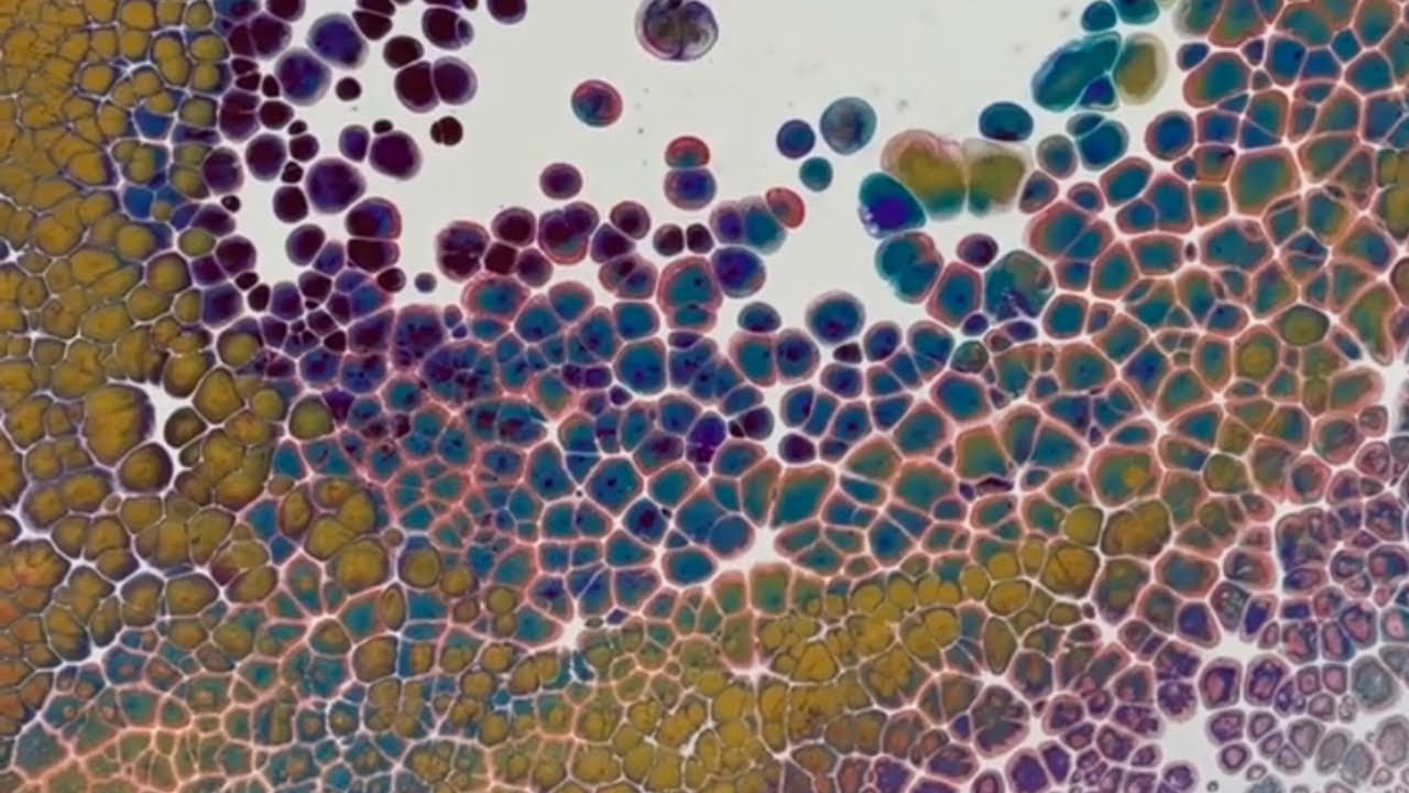 Puddle Pour "Dump and Swirl" Multi Colored Rainbow Cells Explosion ...