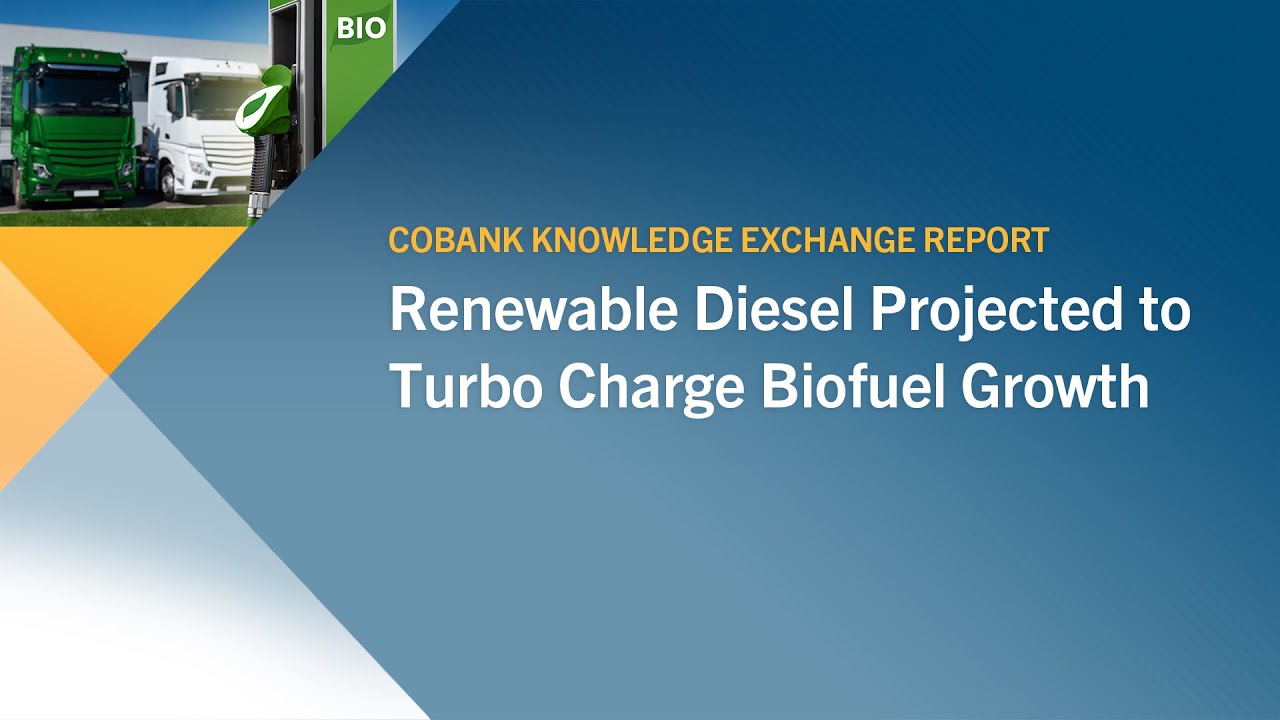 Renewable Diesel Projected to Turbo Charge Biofuel Growth | Knowledge ...