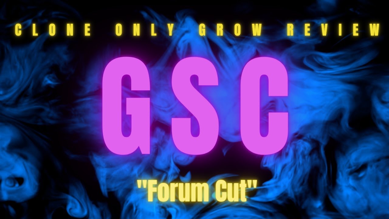 GSC "forum cut" Grow Review - YouTube