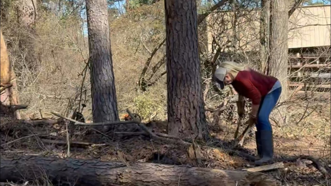 Barn Make Over, Pasture Work, and more Firewood! - YouTube