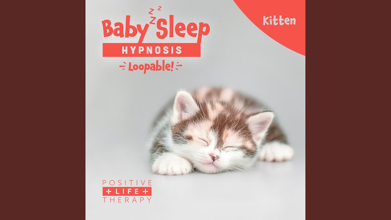 Baby Sleep Hypnosis Monkey (Loopable) - YouTube