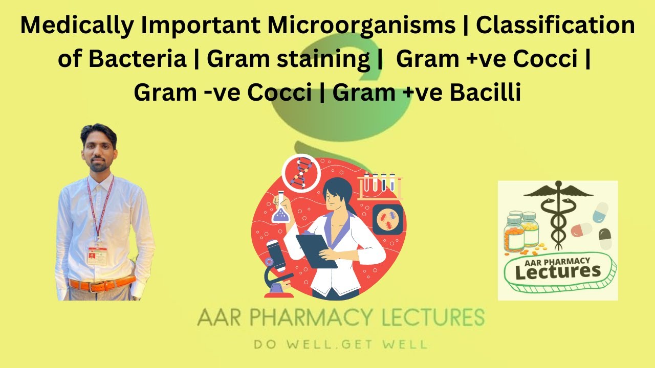 Medically Important Microorganism | Classification of Bacteria | Gram ...