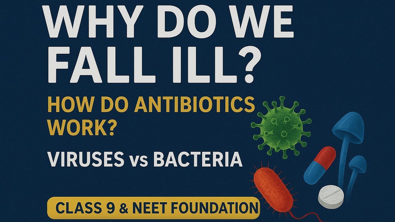 Why Do We Fall Ill? Part-3 | How Antibiotics Work | Penicillin ...