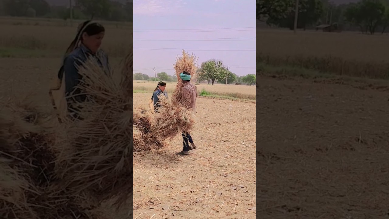 meri jholi chhoti pad gai 🙏🔱#song #viralvideo #Mata Rani ka bhajan# ...