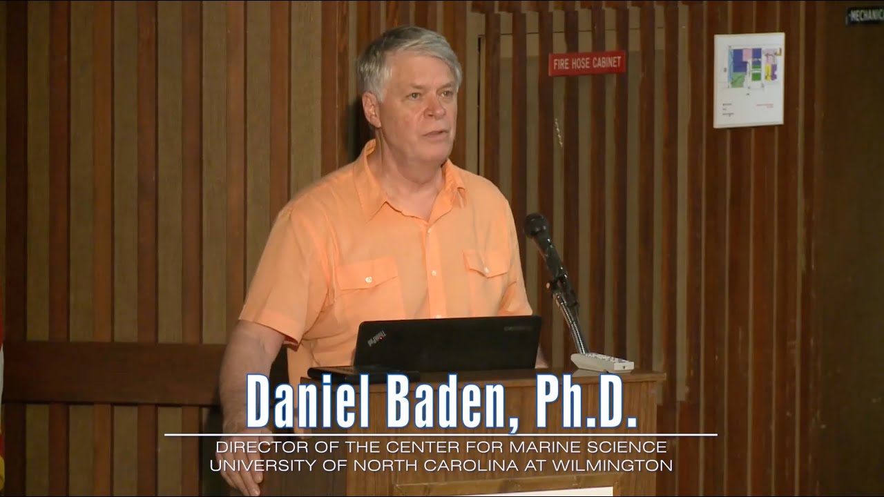 Sea Secrets - Daniel Baden - YouTube