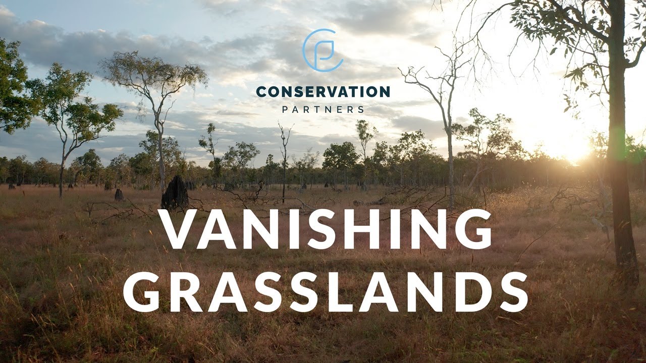 Vanishing Grasslands - Conservation Partners - YouTube