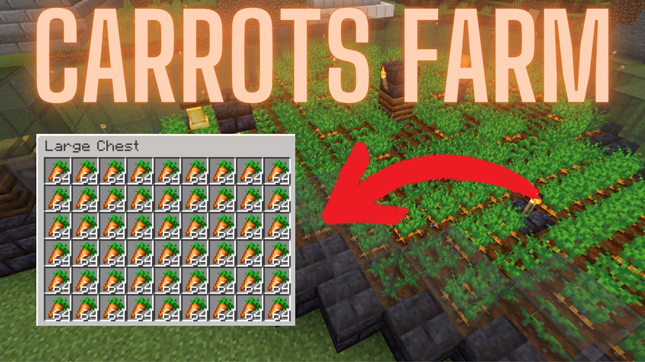 TUTORIAL | HOW to BUILD a CARROT FARM +1000/h - YouTube