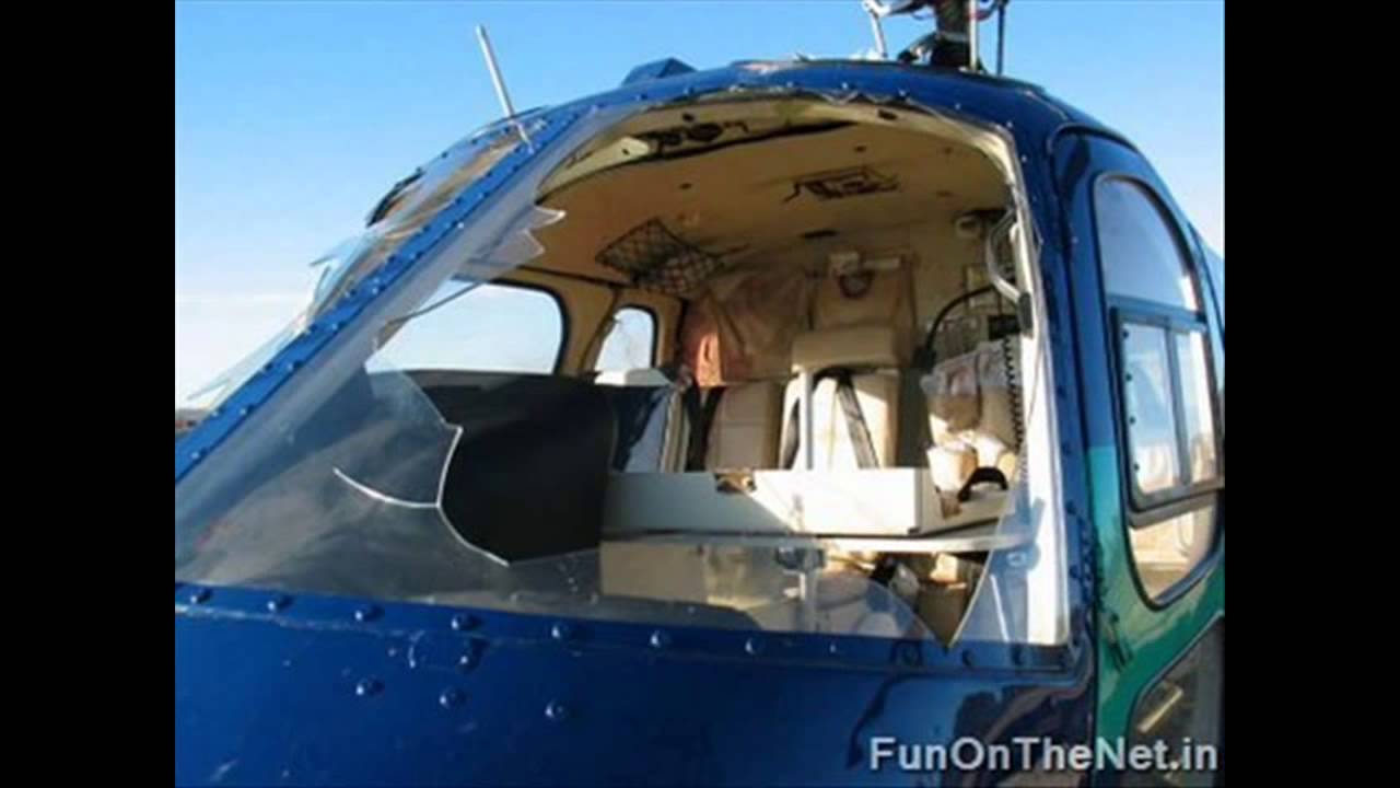 bird vs plane | bird strike jet engine | emergency landing bird strike ...