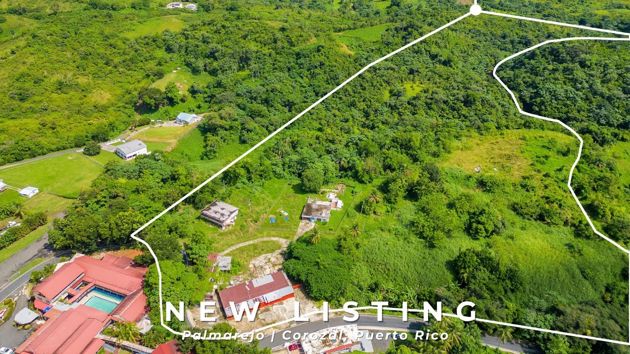 Palmarejo | Corozal, Puerto Rico - YouTube