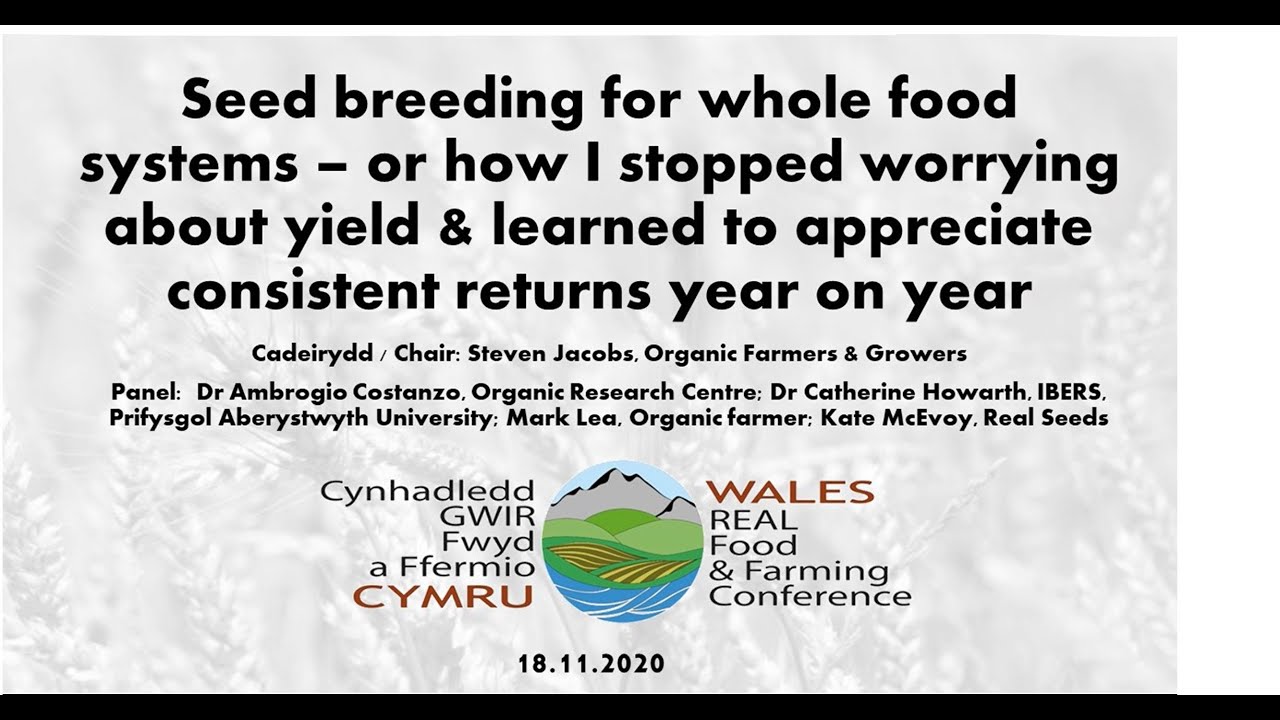 Bridio hadau ar gyfer systemau bwyd cyfan / Seed breeding for whole ...