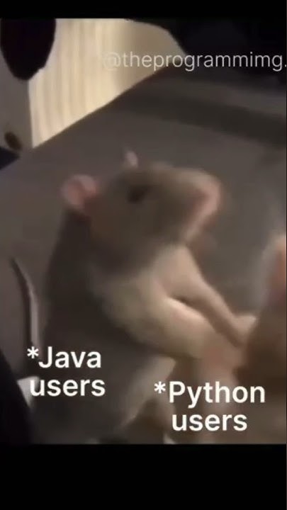 Coding meme~ funny | meme | comedy #funny #memecoding #funnymemes #meme #funnyprogramming # ...