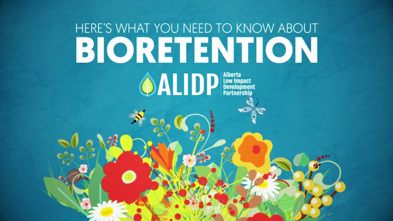 Bioretention Explained in 3 minutes - YouTube