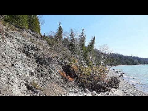 Shoreline Bluff Webinar - YouTube