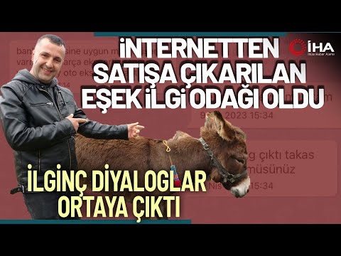 Satılık Eşek İlanını Görenler “Ekspertiz Raporu Var Mı” Diye Soruyor