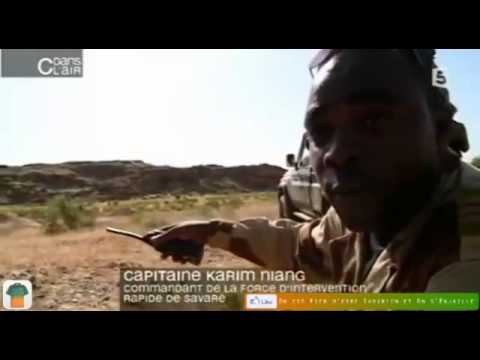 Entrainement de l'armée malienne - Entre humour et désolation - YouTube