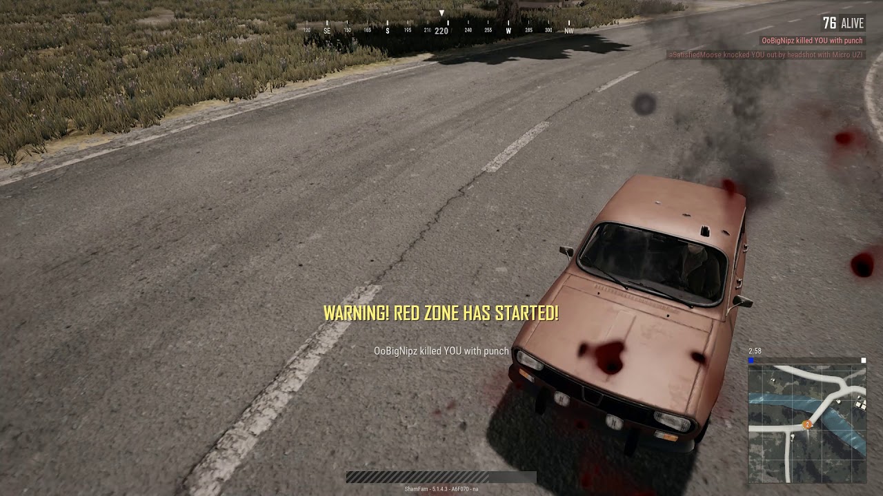 Fun Times with Jinx and Sham - YouTube