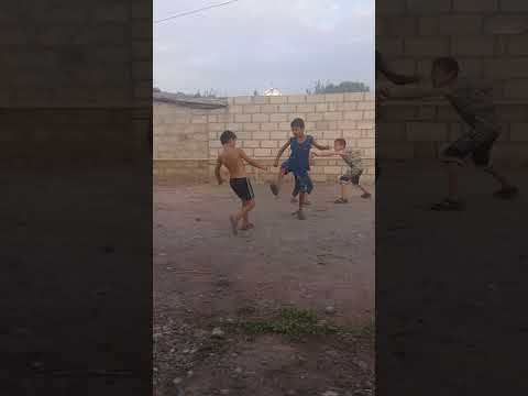 Beylaqan rayonunun Emirzeyitli kendinde talpa davasi.😂😂