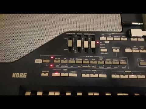 Korg pa800.Doğu 2/4 introlu ritim