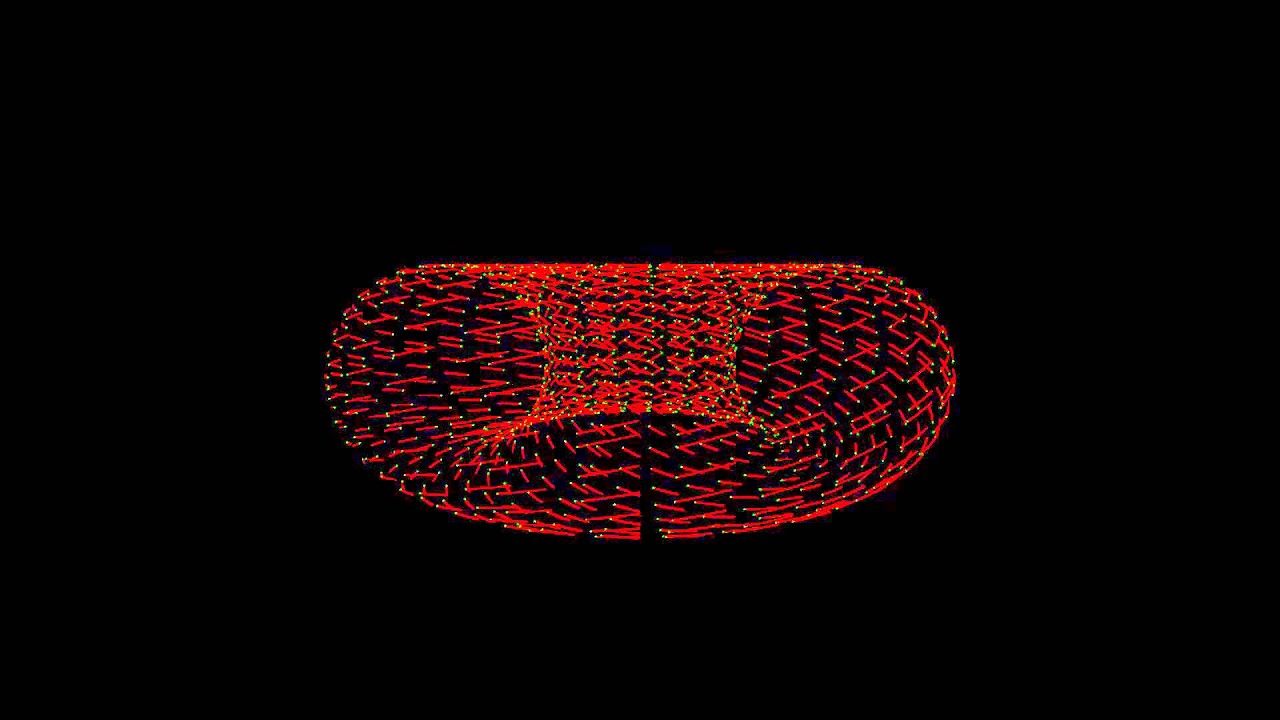Vector field on the surfave of a torus. - YouTube