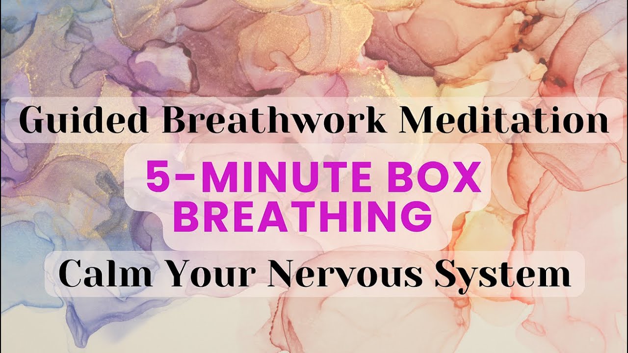 5-minute Box Breathing Session | Short Meditation for Beginners - YouTube
