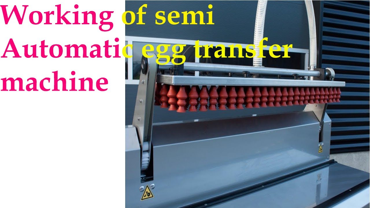 Egg transfer Machine - YouTube