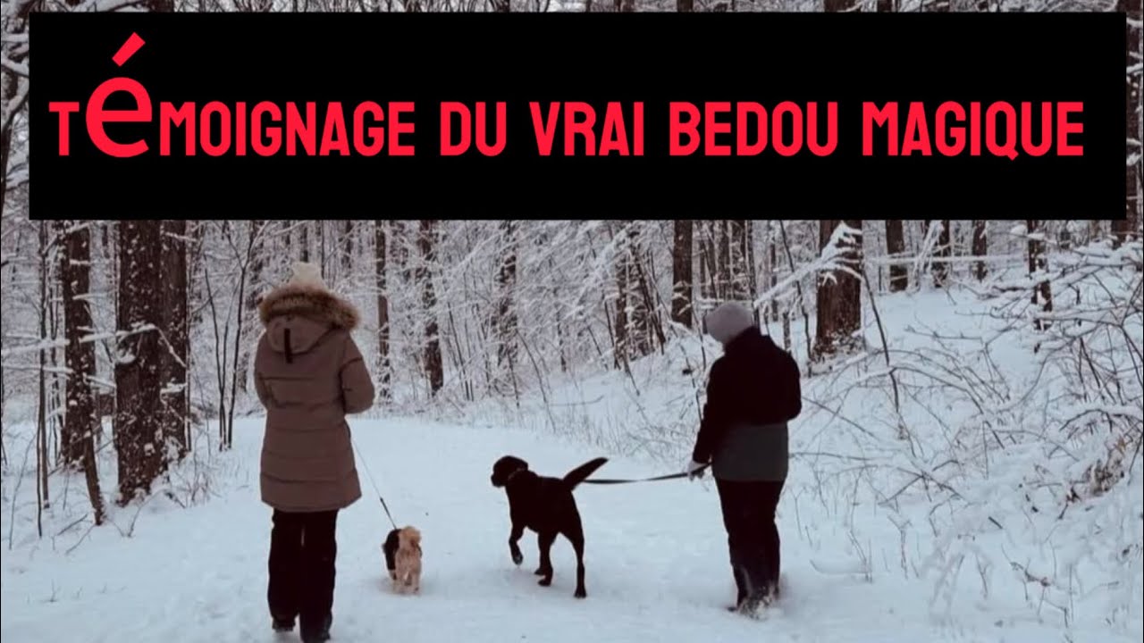 Témoignage du vrai bedou magique du grand maître SEHO - YouTube