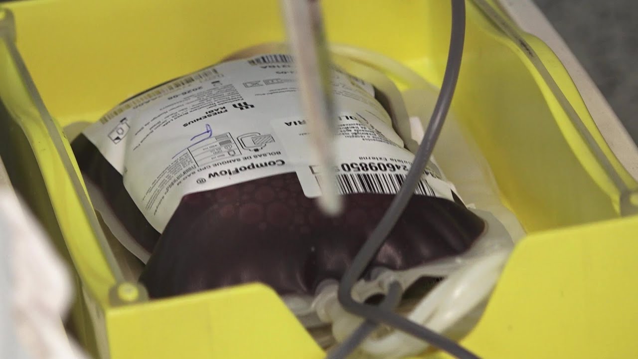 USP e Fundação Pró Sangue promovem campanha de doação de sangue - YouTube