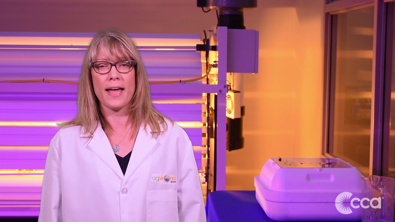 Cyber students study embryology at AgWorks facility | CCA - YouTube