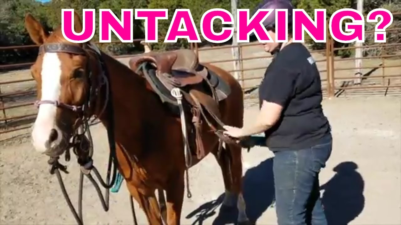 How To: Untack Your Horse In Western Attire - YouTube