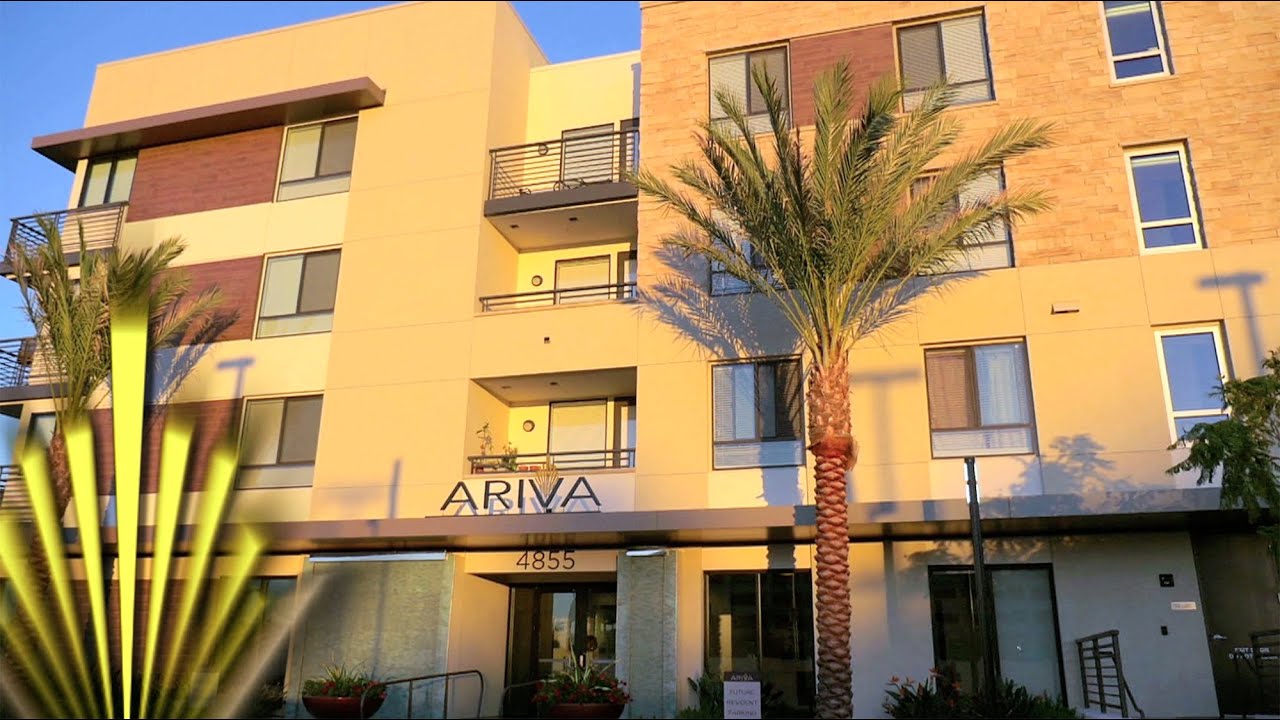 Ariva - The Vive Collection (with Audio Description) | San Diego CA ...