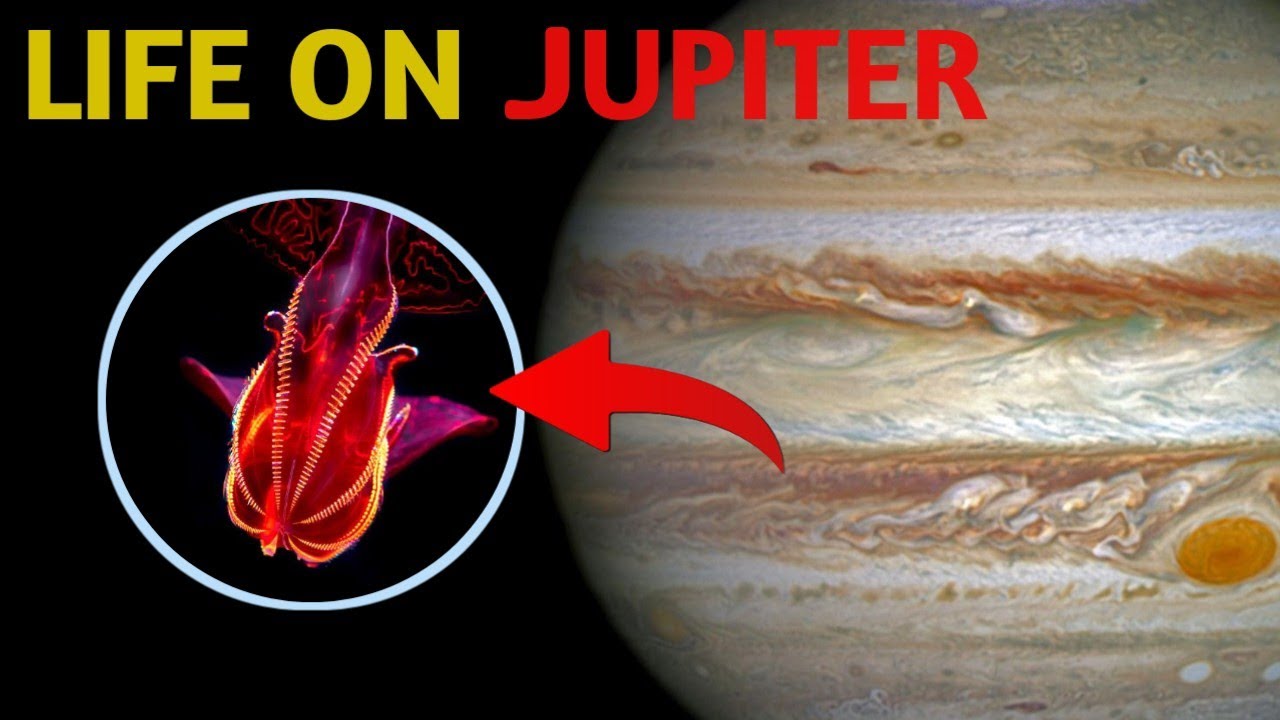 Scientists Discover Life On Jupiter's Moon | Hindi Explanation - YouTube
