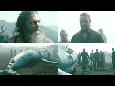 VIKINGS: Whale lands in Ketill's Land #Vikings #Vikinger #Ketillflatnose