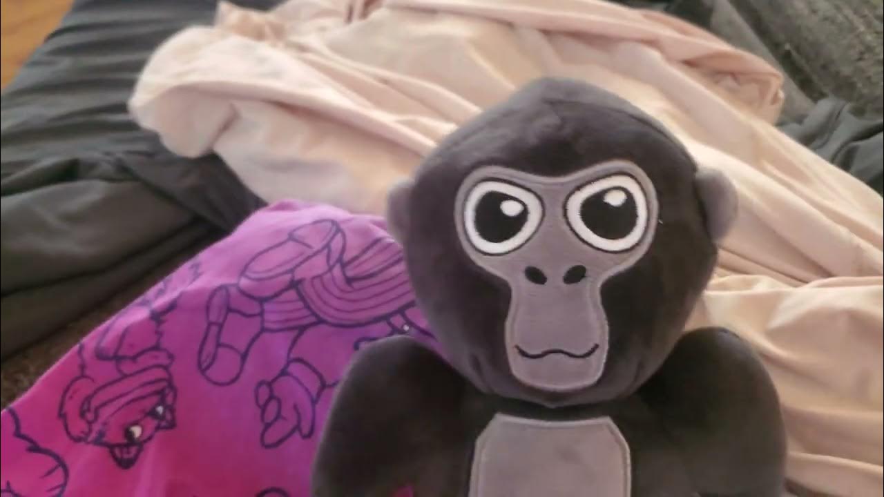 I got the gtag monkey plush - YouTube
