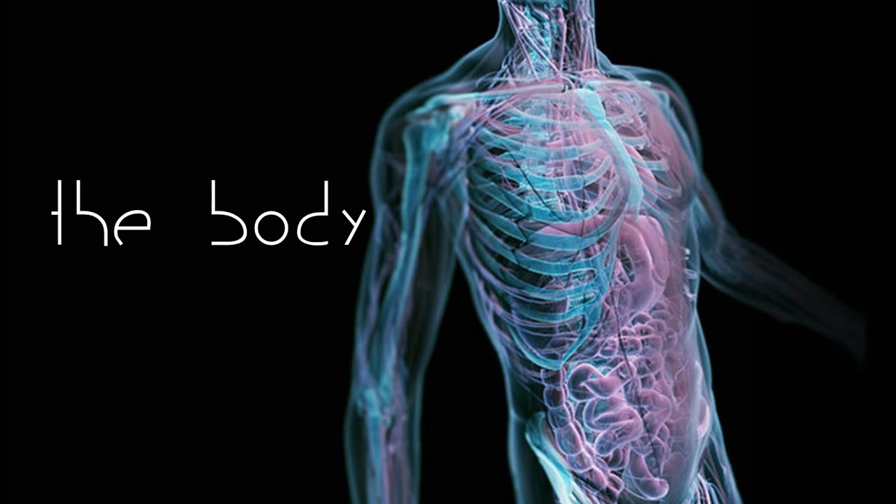 The Body - Treat Your Body Right - YouTube
