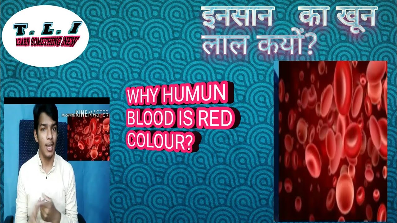Why human blood Is red colour| the learning institute | shahadath - YouTube