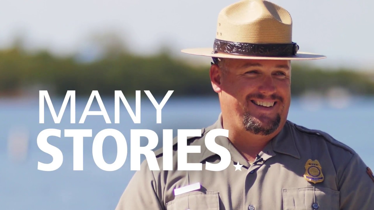 LESES Overview September 2017 - YouTube