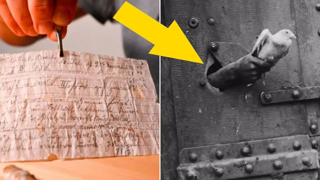 Hikers Found A Century Old Carrier Pigeon Capsule – With A Chilling ...