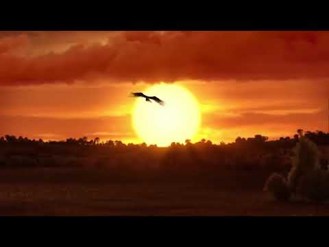 Recep Tayyip Erdoğan 24 haziran