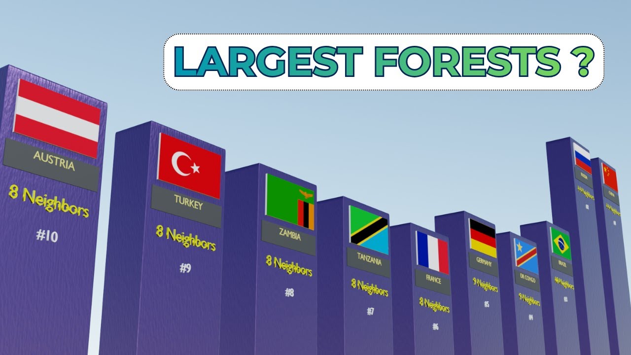 Largest Forests in the World: Top Countries by Forest Coverage Area ...
